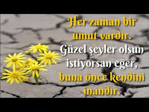 Düşünmeden Konuşmanın Cezası, Konuştuktan Sonra Düşünmeye Mahkum Olmaktır.. Resimli Güzel Sözler