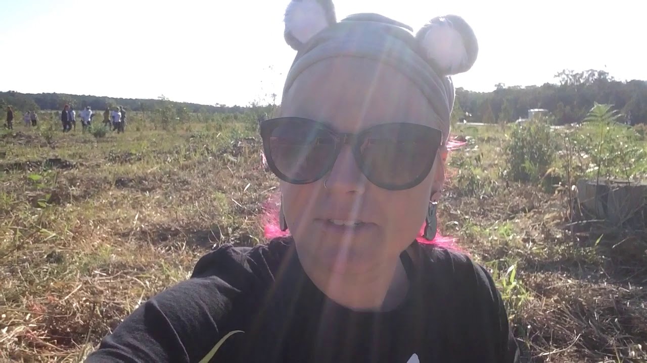 Noosa Koala Community Tree Planting Day 22/6/19 - YouTube