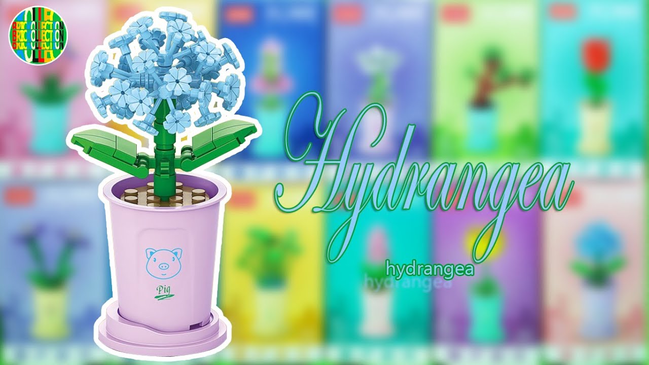 Hydrangea Florist Plants Building Blocks - YouTube