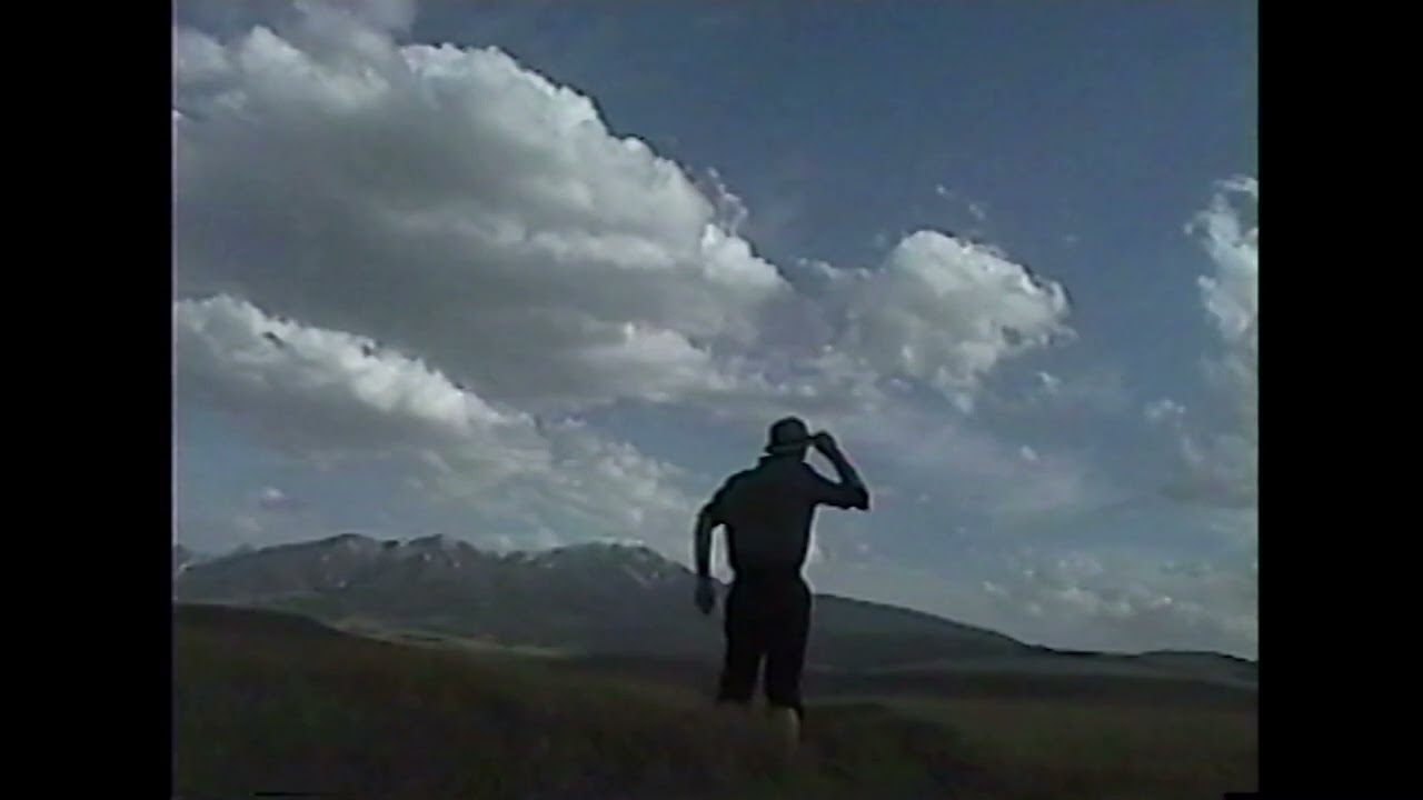 VOID TV - FM Forest - YouTube