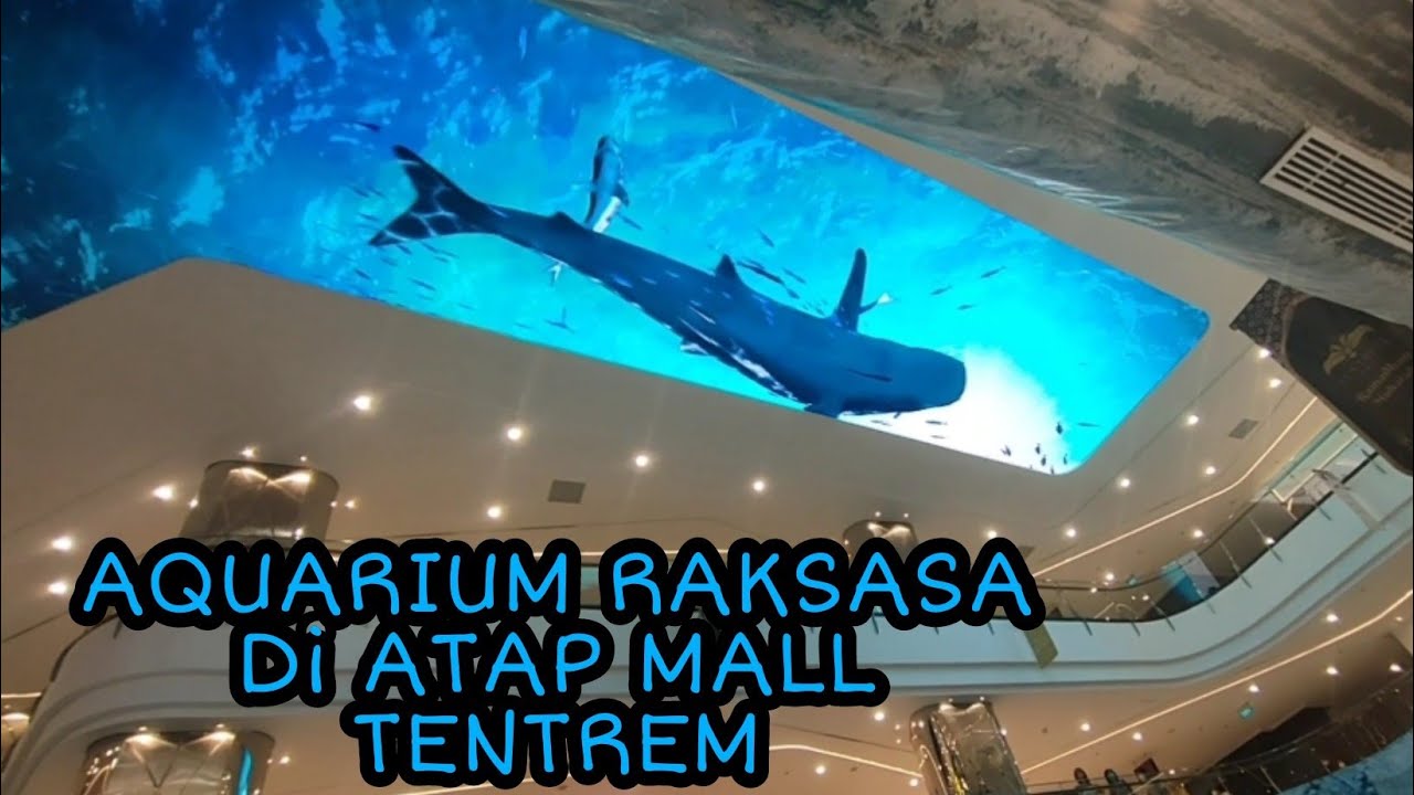 MALL TENTREM SEMARANG YANG LAGI VIRAL DI MEDSOS - YouTube