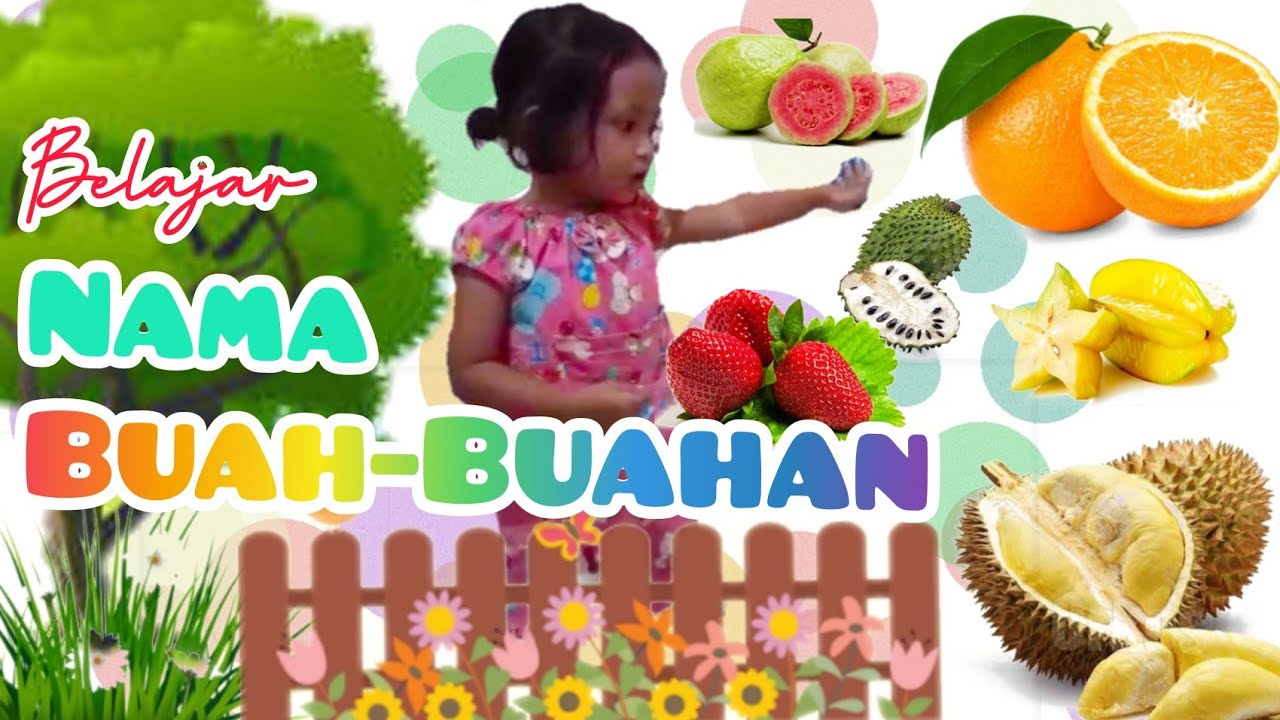 Belajar mengenal nama buah-buahan I Learn the fruits name I Gambar buah ...