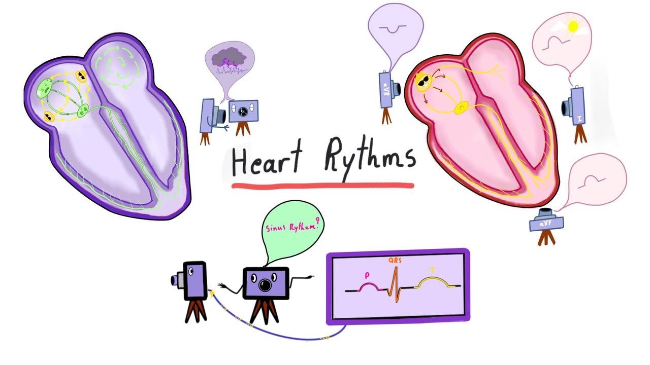 Cardiac Rhythms Explained | ECG Interpretation Made Easy - YouTube