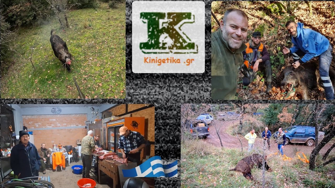 Κυνήγι με επίθεση αγριογούρουνου σε κυνηγό! - YouTube