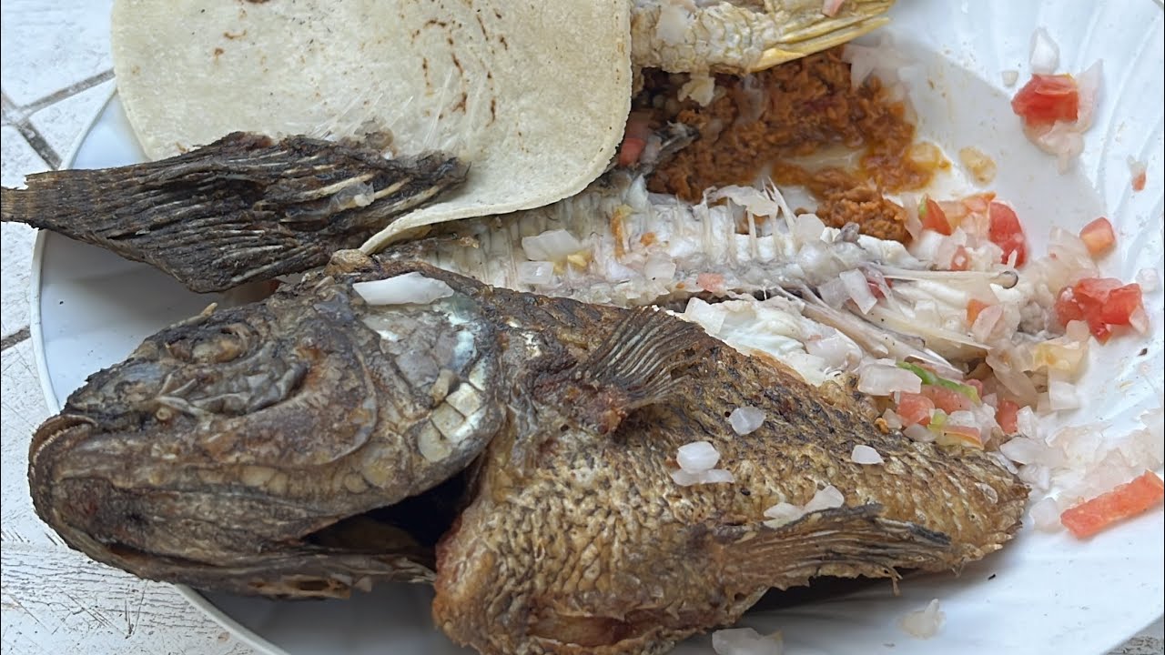 Cocinando manjar de coco, pescado frito y minilla de jurel - YouTube