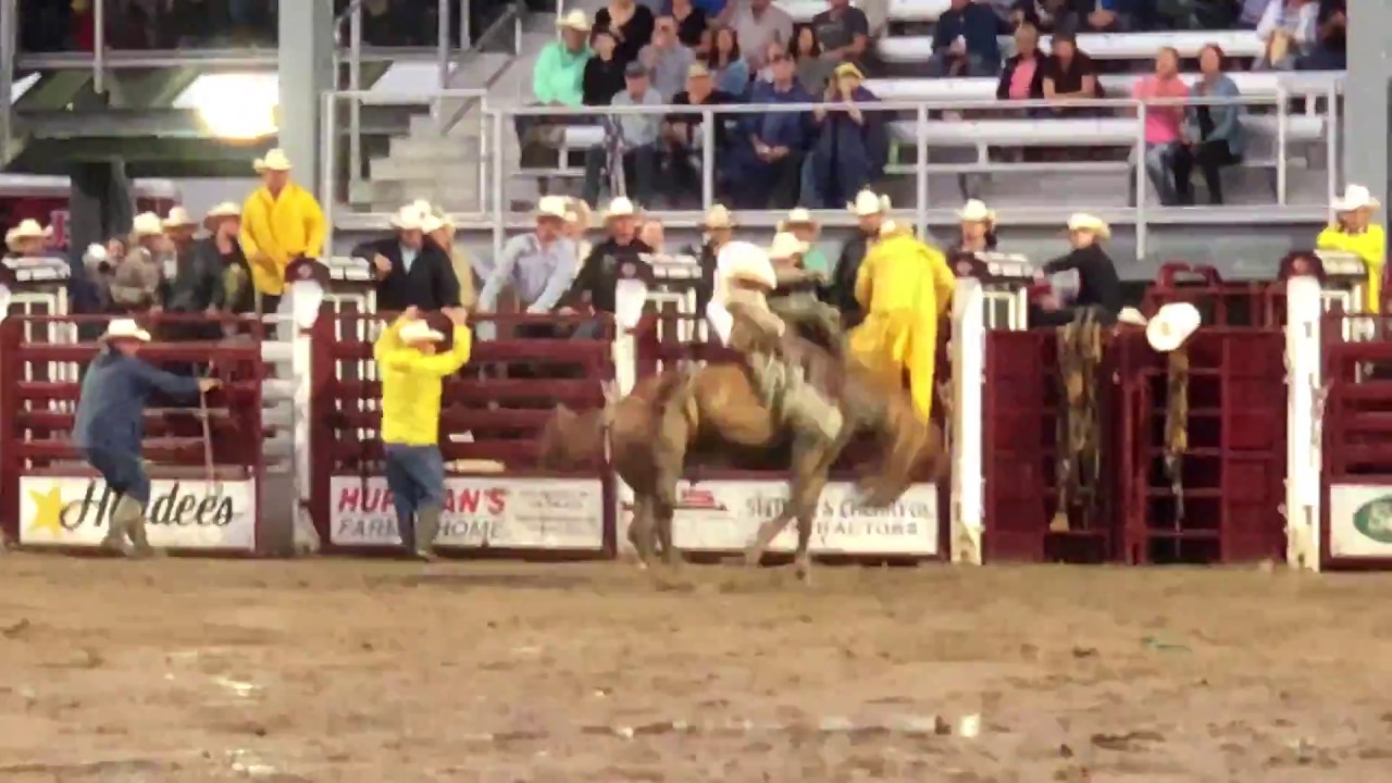 J.C. Hester Jr.- CINCH Shootout Tri-State Rodeo Fort Madison 2018 RD 1 ...