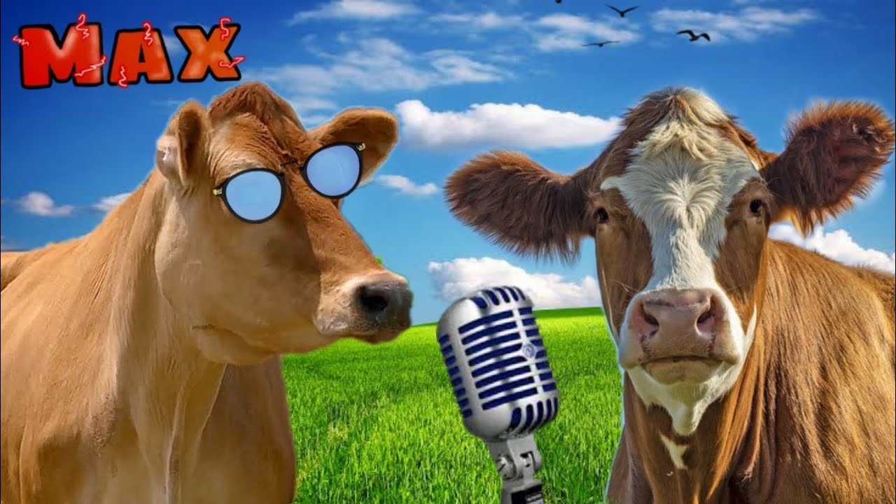Honey cow dance video episode 2 l funny cow song & cow videos - YouTube