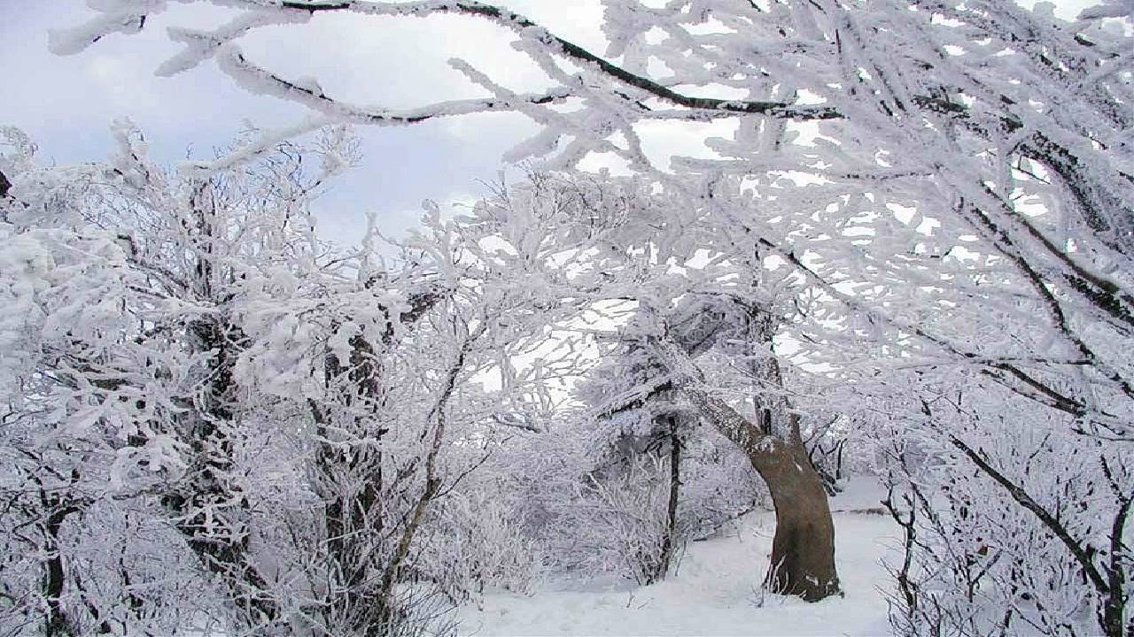 Vivaldi - The Four Seasons "Winter" / Le Quattro Stagioni "L'inverno ...