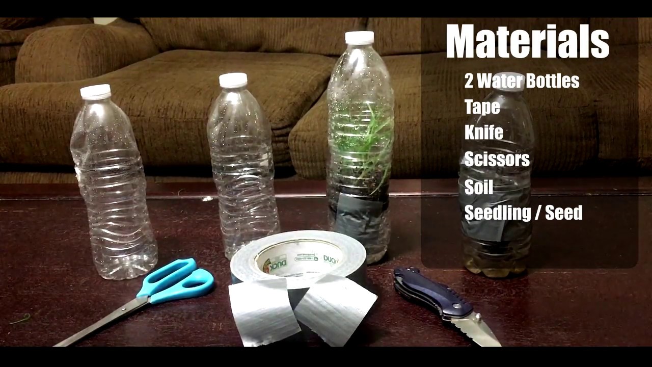 Self watering container|Wicking bottle - YouTube