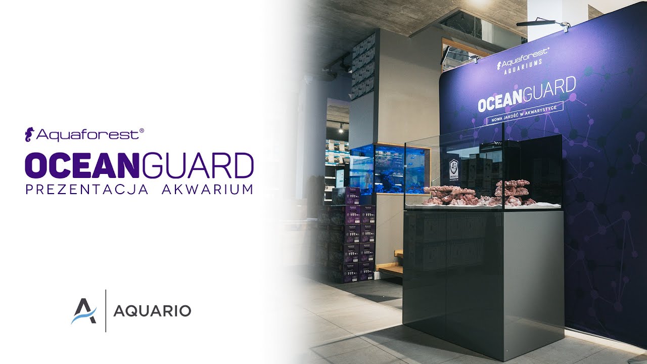 Setting up AF OceanGuard display - YouTube