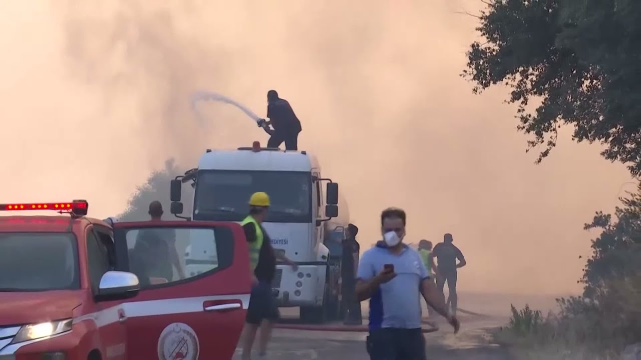 LIVE: Wildfires rage in Turkey's Bodrum - YouTube