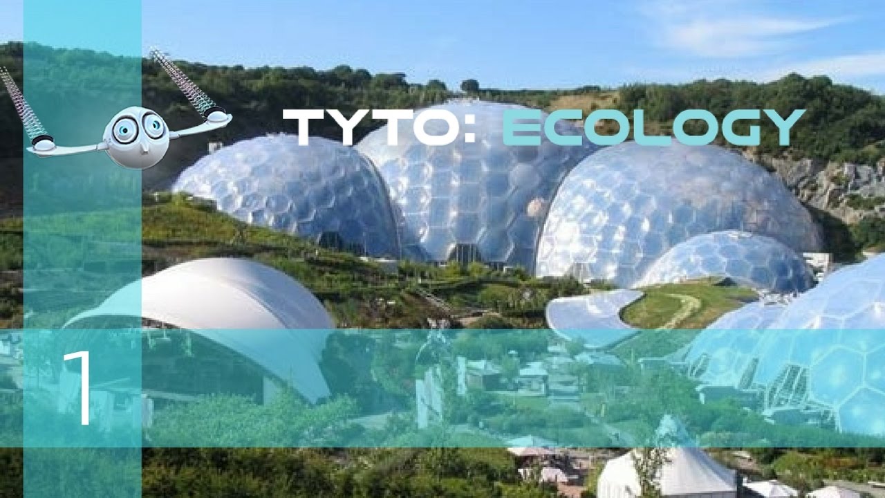 Tyto Ecology | Adorable Ecology Simulator | Tyto Ecology Tutorial - YouTube