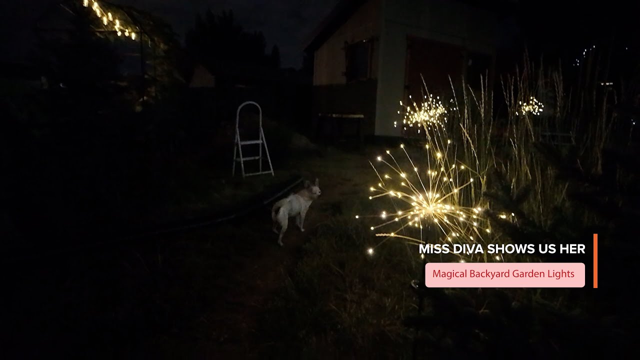 Miss Diva Shows Us Her Magical Backyard Garden | #Teeny Tiny Diva - YouTube
