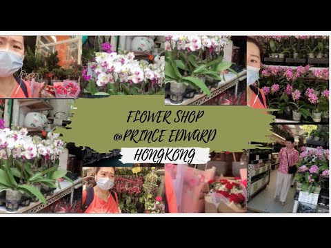 Flower Shop @ Prince Edward HongKong - YouTube