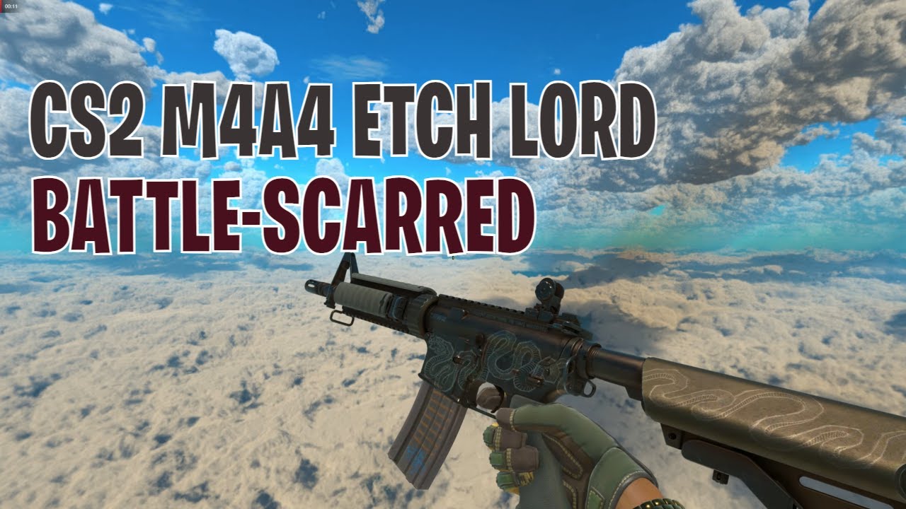M4A4 Etch Lord (Battle-Scarred) | CS2 Skin Showcase #612 - YouTube