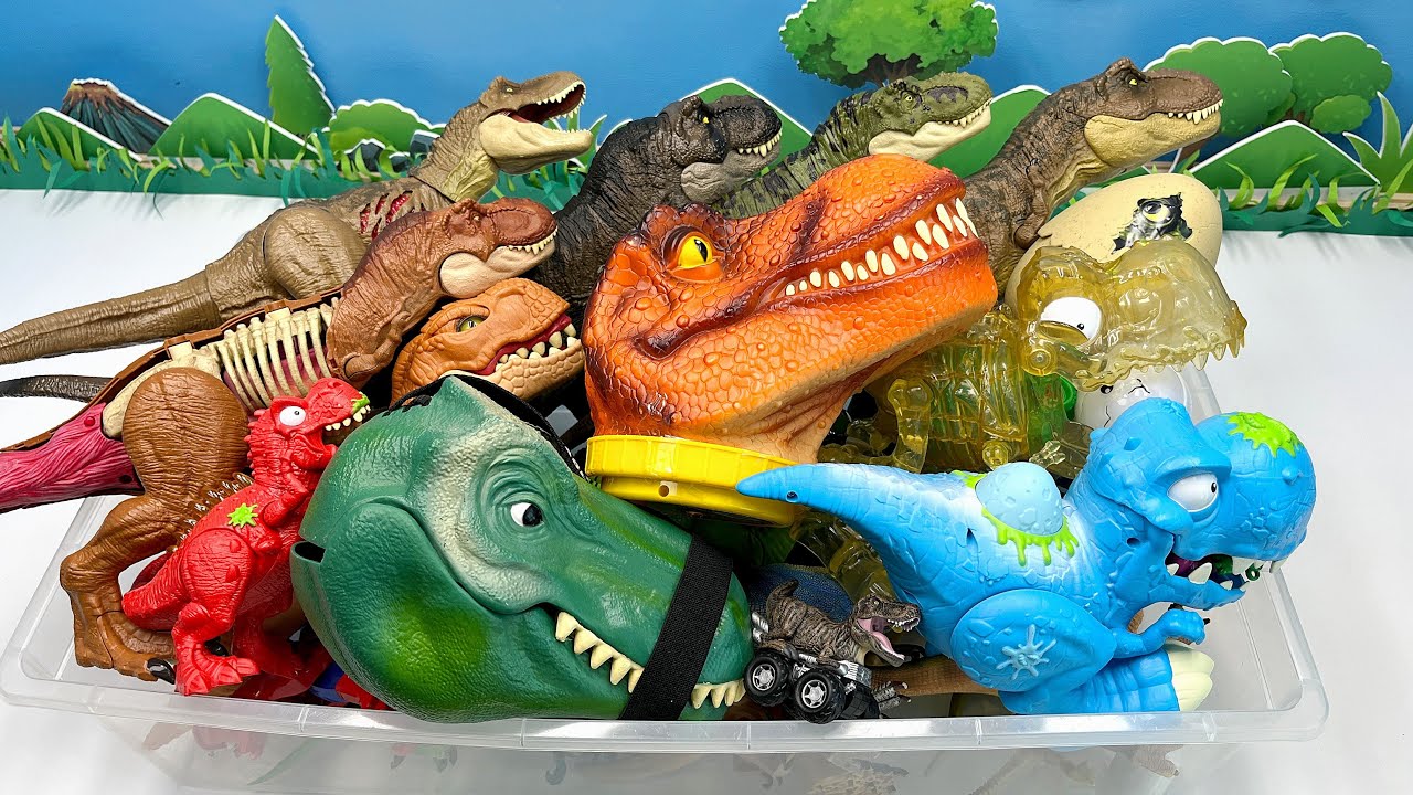 My Tyrannosaurus Rex Collection | Dinosaur For Kids 티라노사우루스 공룡 장난감 놀이 ...