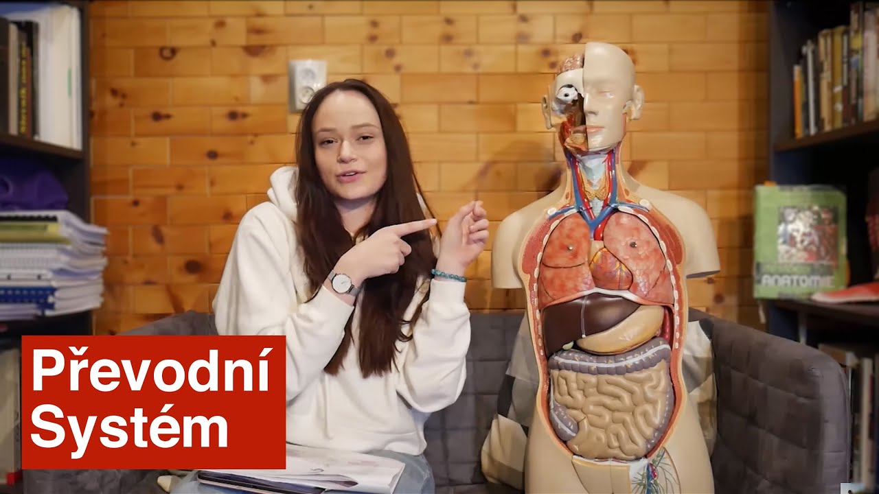 Elektrická aktivita srdce ...Struktura a funkce lidského těla - YouTube