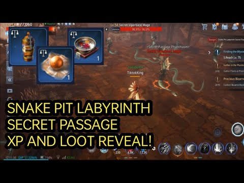 MIR4: snake pit labyrinth secret passage loot and xp gain reveal! - YouTube