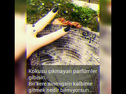 WhatsApp üçün maraqlı status. Anlamlı bor video. Sounds app 2020.