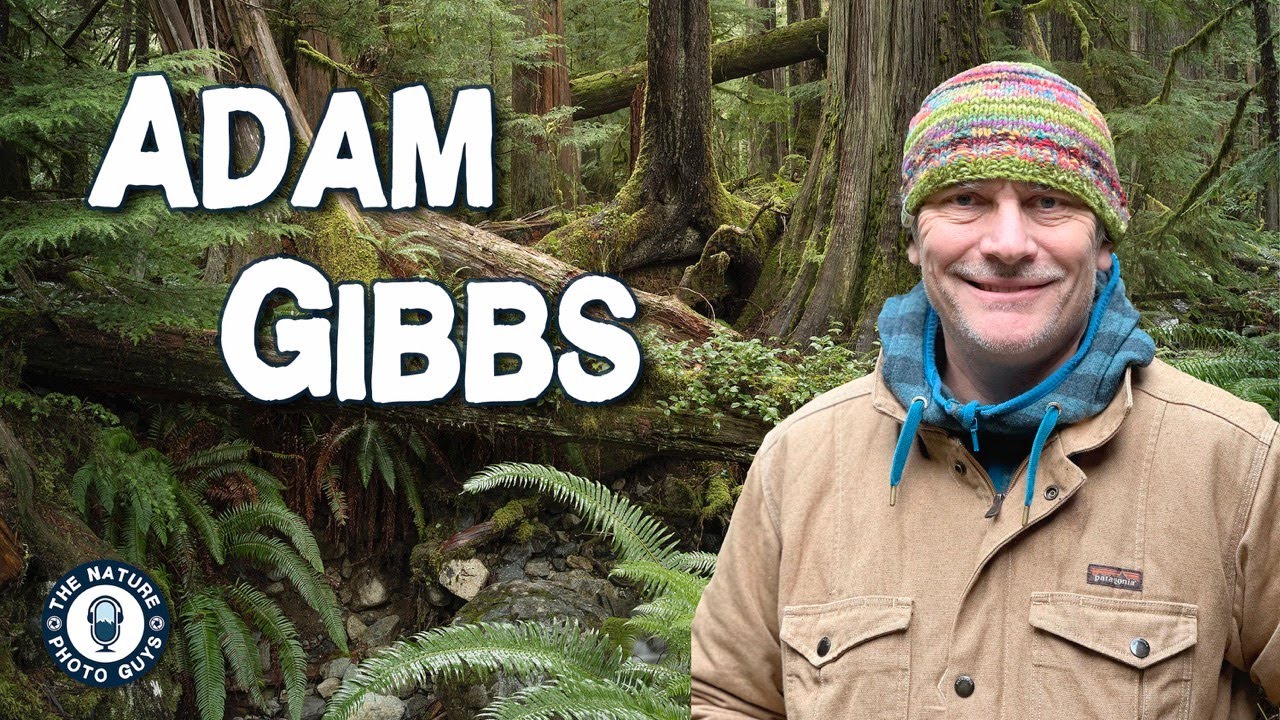Adam Gibbs: Exploring ‘Quiet Light’ and the Art of Nature Photography ...