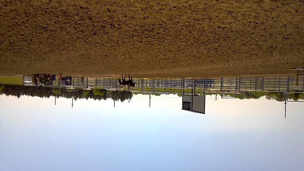 Impulse jumping line - YouTube