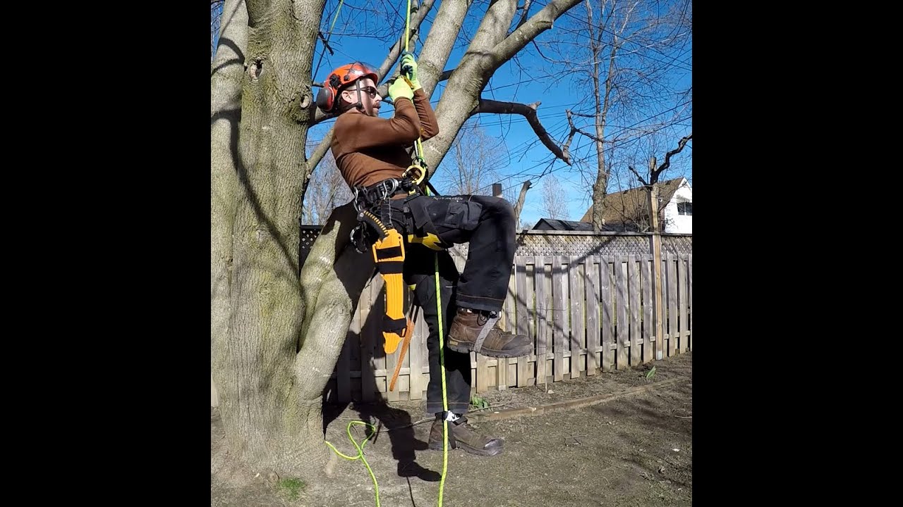 Stationary Rope System Setup (SRS/SRT) - YouTube