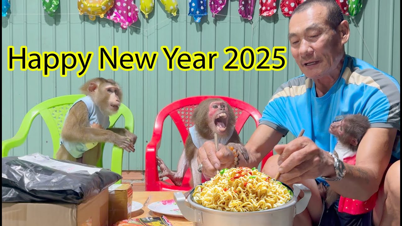Monkey Sam & Asher instant noodle fight to welcome the new year - YouTube