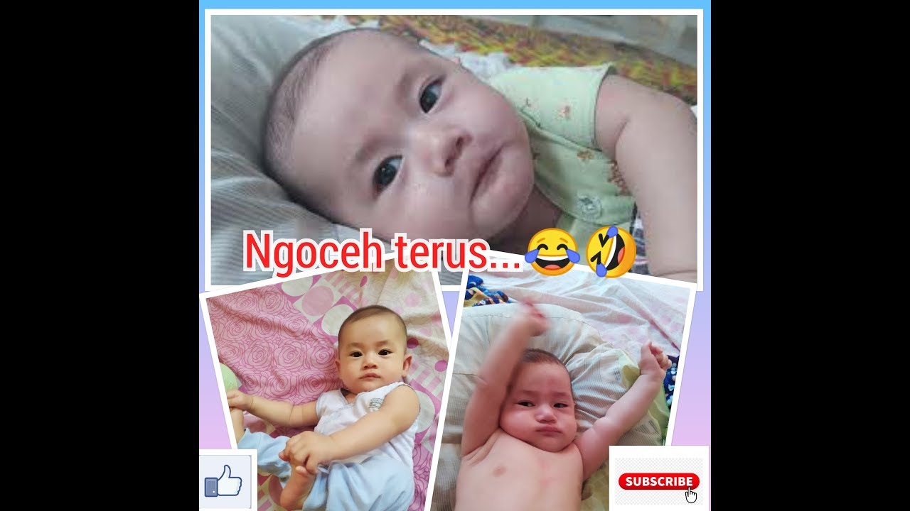 bayi ngoceh terus - YouTube