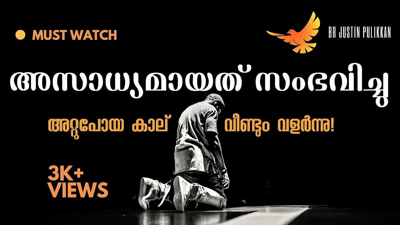 Miracles of Holy Mary | October | നിങ്ങൾ ഇന്നുവരെ കാണാത്ത മരിയ ...