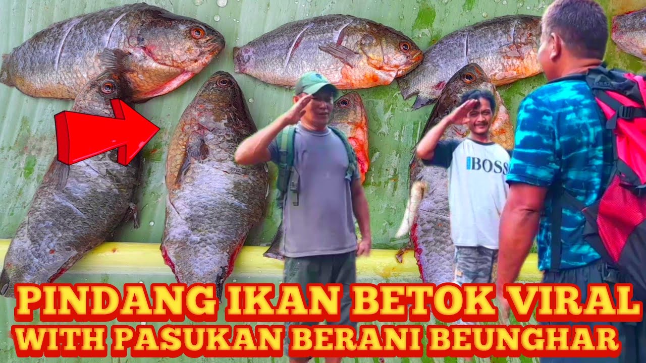 BERTAHAN HIDUP ‼️ MAKAN PINDANG IKAN BETOK BERSAMA PASUKAN BERANI KAYA ...