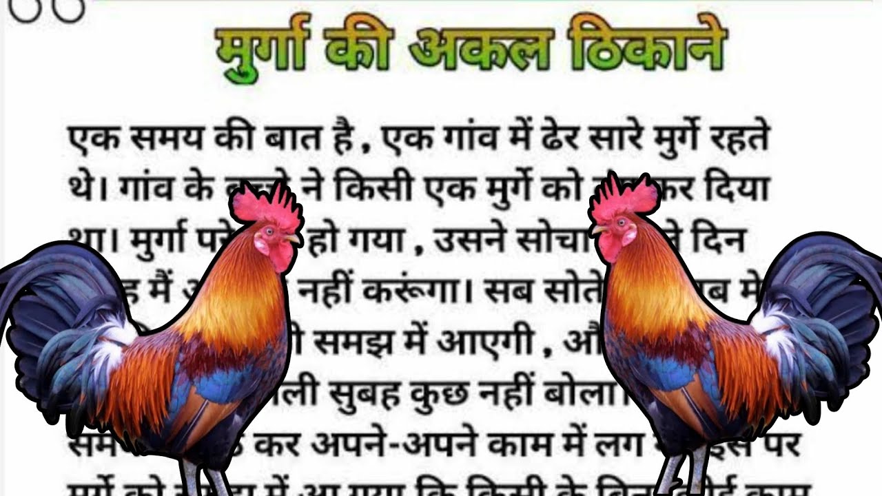 मुर्गा की अकल ठिकाने |Hindi short story with moral for kids - YouTube