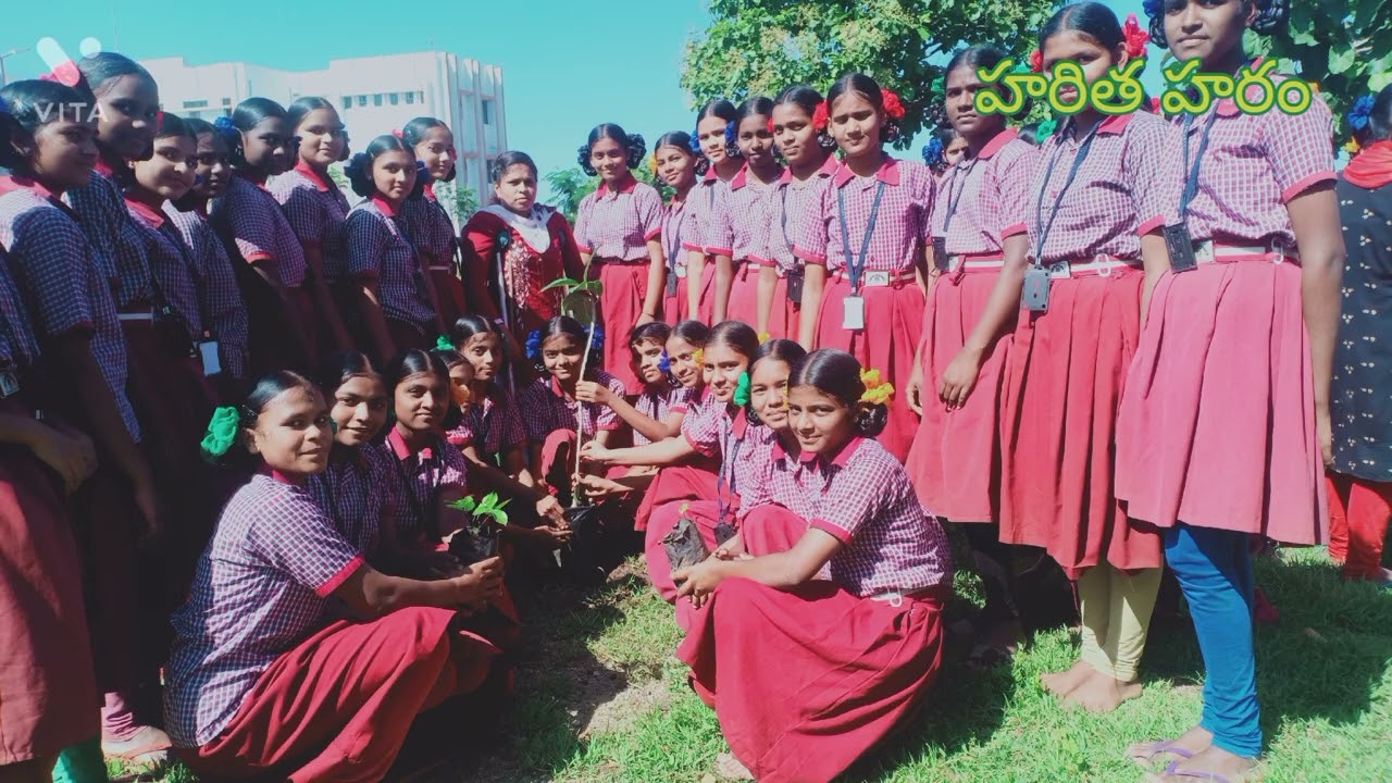 TSWRS JC RAIKODE హరిత హరం programme - YouTube