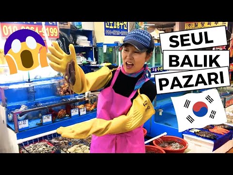 Seul Balık Pazarı (Part I) - Birtakım Tuhaf Canlılar