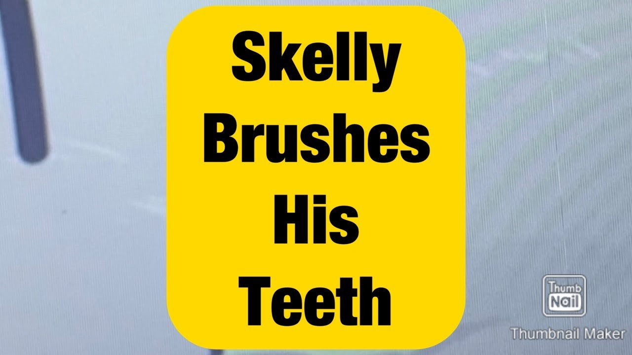 STM Short: Skelly Brushes His Teeth - YouTube