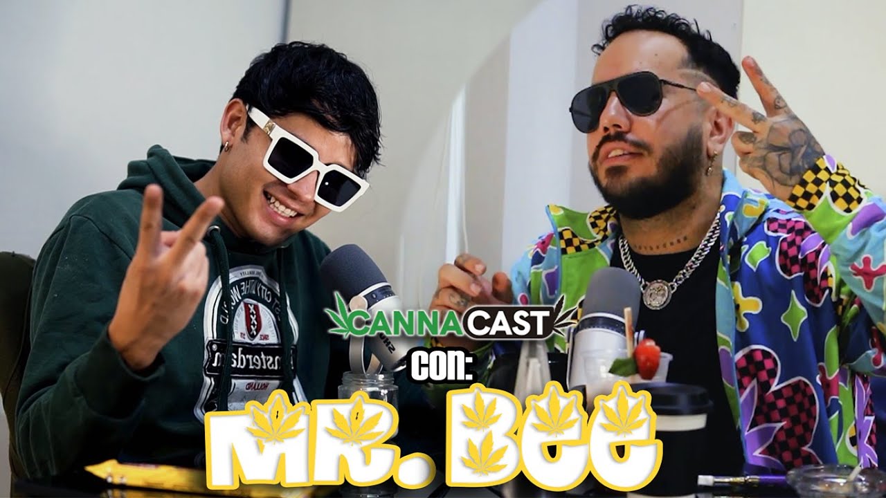#9- Cannacast con: Mr. Bee | QUE AYUDA DEL CANNABIS, MARKETING Y MI PERSONAJE, MI CAMBIO DE ...