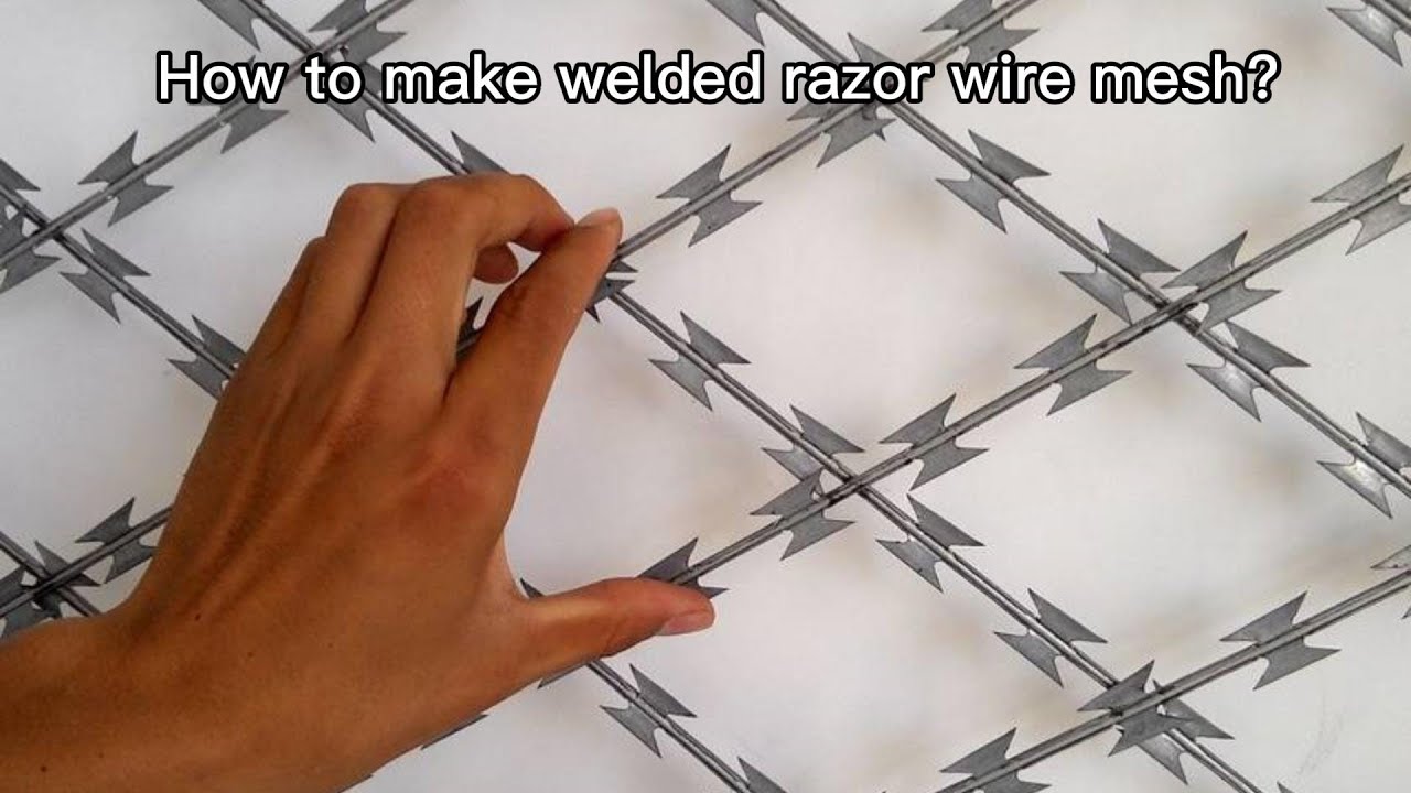 How to make welded razor wire mesh?| DAPU Razor wire mesh welding ...