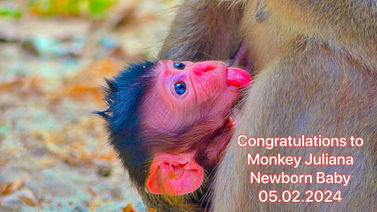Congratulations to Juliana who just gave birth today 05.02.2024 l ...
