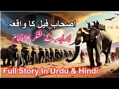 Aamul Feel Kya hai || The Year of the Elephant || Aam Ul Feel ...