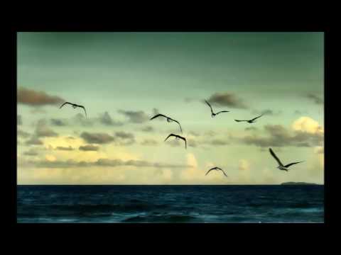 Uçamam Senin Gökyüzünde