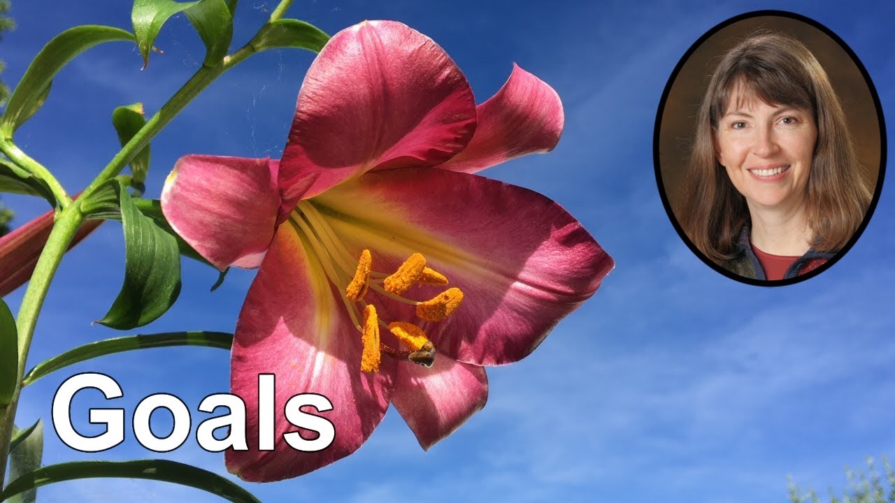 Goal Setting Guided Meditation - YouTube