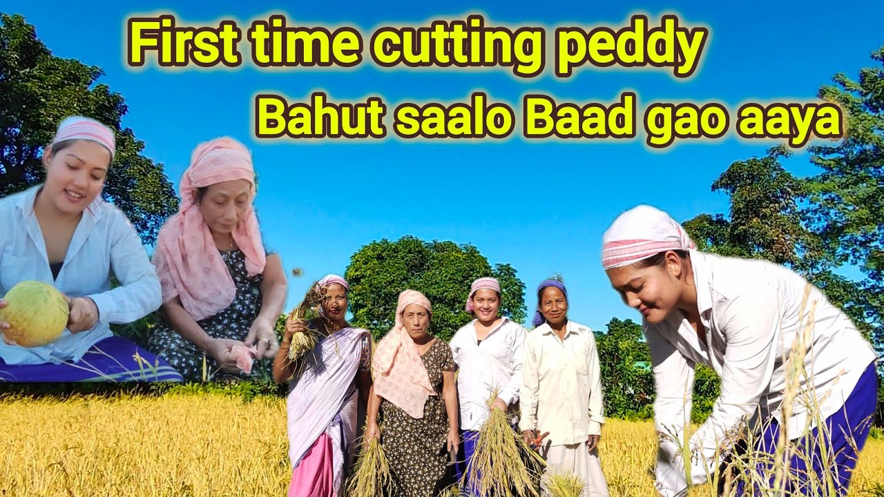 First Time Cutting Peddy || Bahut Saalo Baad Gao Aaya || Gao Mai Kiya ...