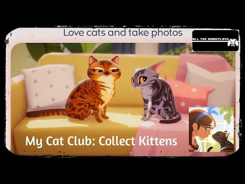 My Cat Club: Collect Kittens (ATG) Android, iOS Gameplay - YouTube