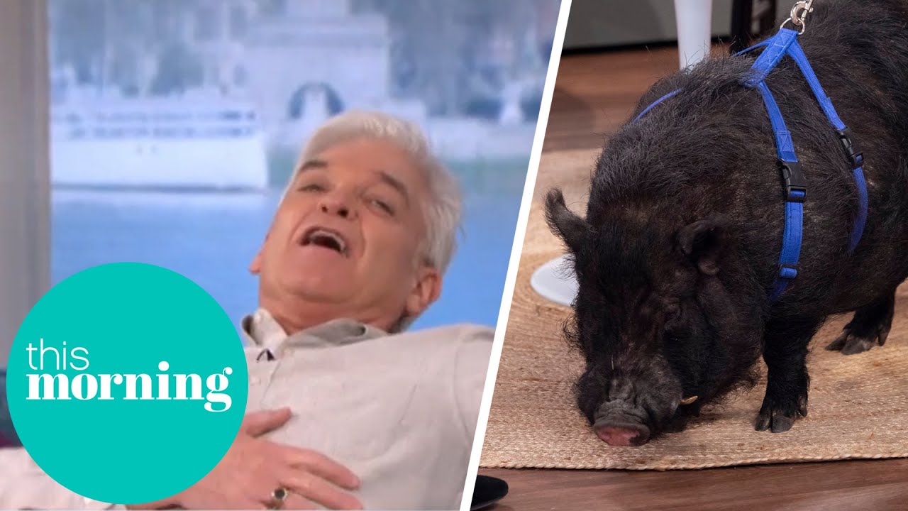 Psychic Pig Predicts When Winter Will End on Groundhog Day | This ...