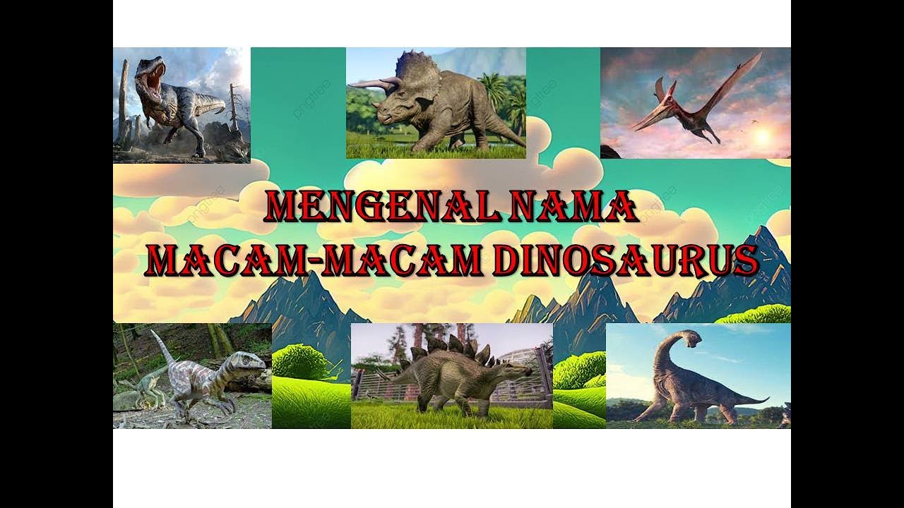 MENGENAL MACAM-MACAM NAMA DINOSAURUS - YouTube
