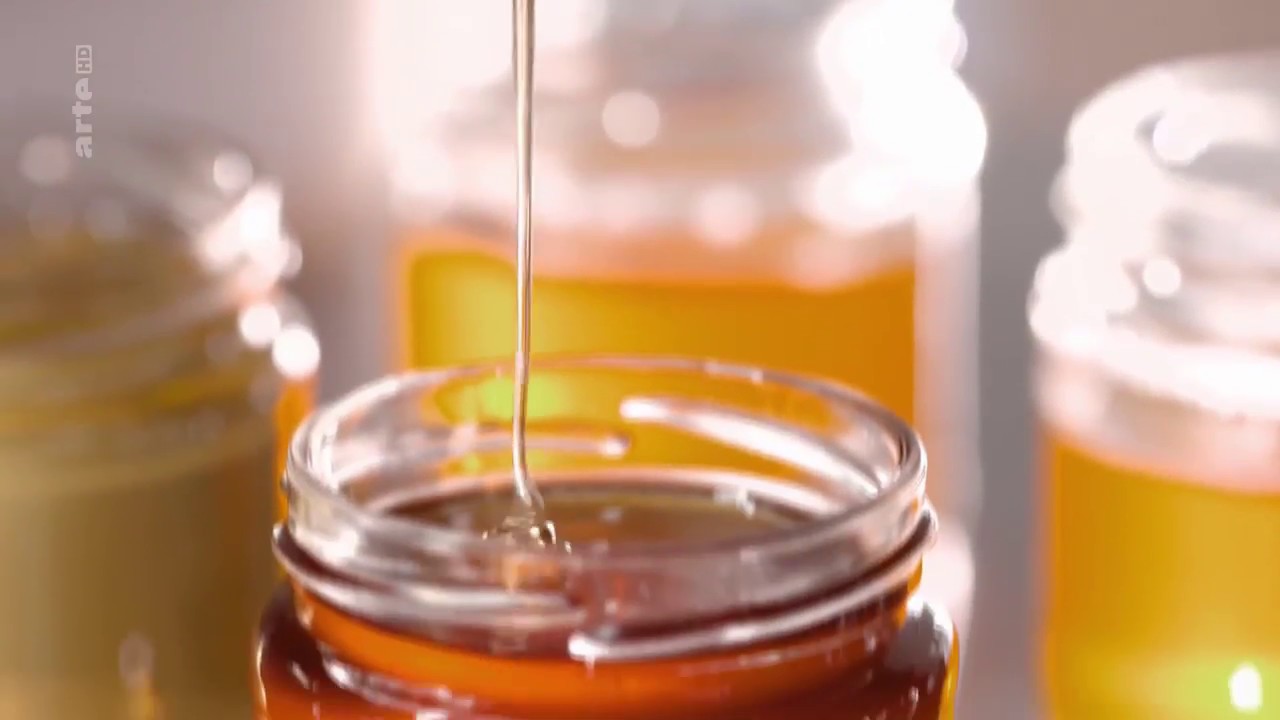 Le miel, de la ruche au pot de miel - YouTube