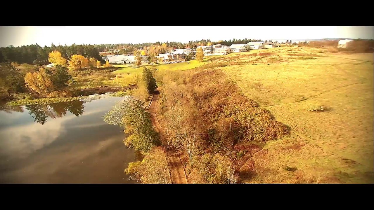 Waughop Lake Trail Progress. - YouTube
