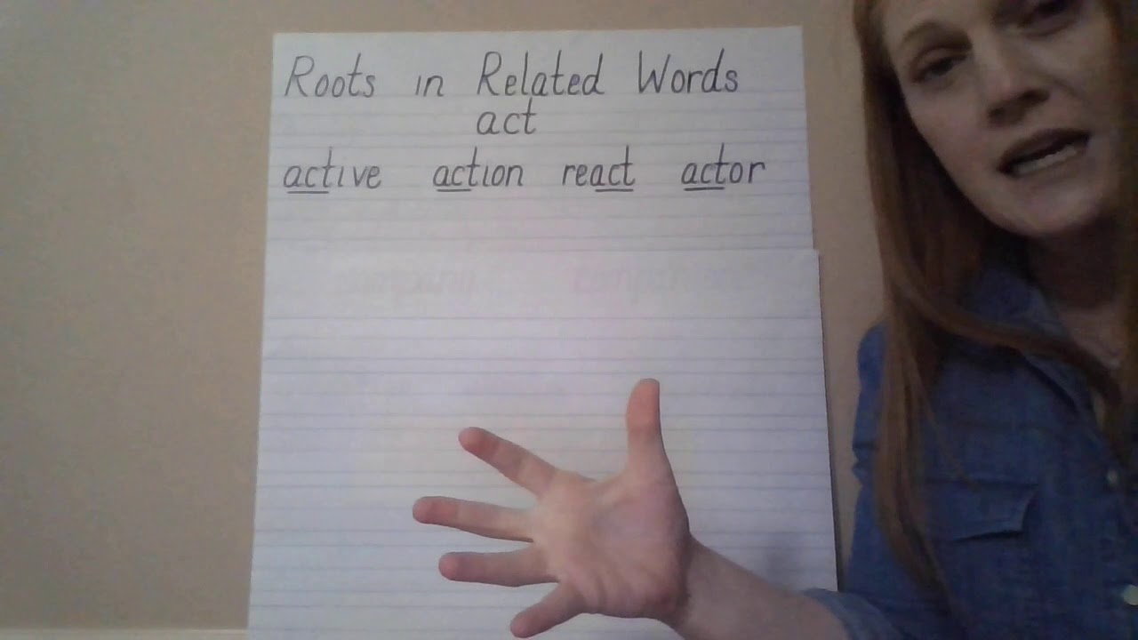 3rd Grade Multisyllabic Words and Root Words - YouTube