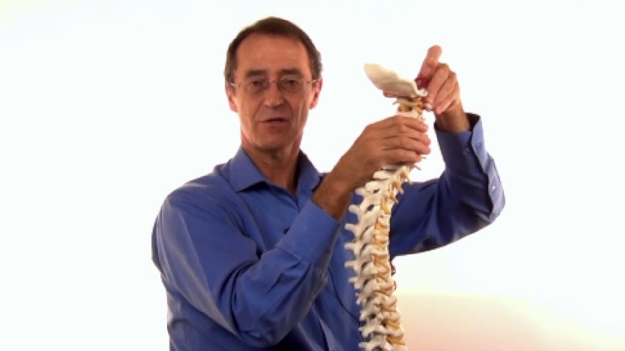 Neck Pain and Stiffness - Posture - YouTube