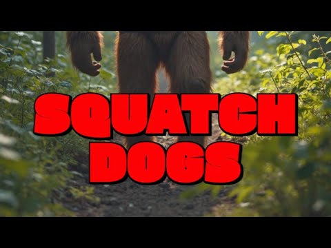 O.C.S.T. SQUATCH DOG - YouTube