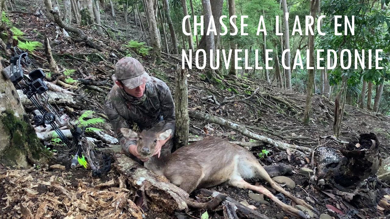 Chasse à l'Arc - Le Cerf Calédonien (Rusa) (ep 4) - YouTube